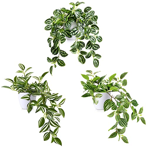 MOSADE フェイクグリーン 光触媒 3点セット 人工観葉植物【スイカペペ+ハカタカラクサ+ペペロミアプテオラータ】ミニ インテリアグリーン 小さい 造花 卓上 世話いらず 水やり不要 ...