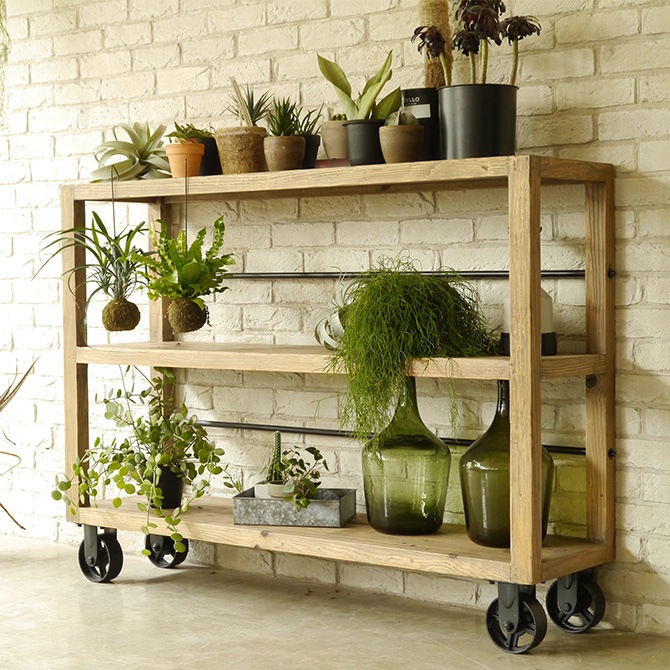 MOSH モッシュ MUT SHELF M ムート シェルフM | Sizeee